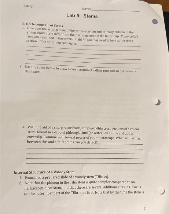 Solved Lab 5: Stems 1. Examine the woody dicot twig | Chegg.com