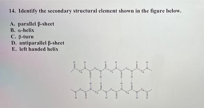 Solved 14. Identify the secondary structural element shown | Chegg.com