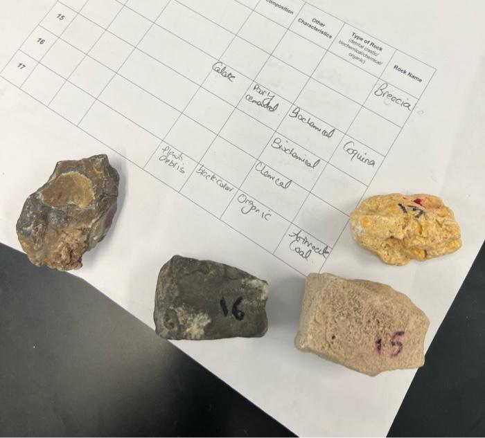 Solved SEDIMENTARY ROCK IDENTIFICATION WORKSHEET (2 of 2 ) | Chegg.com