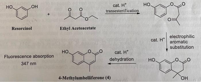Solved cat. H+ transesterification Resorcinol Ethyl | Chegg.com