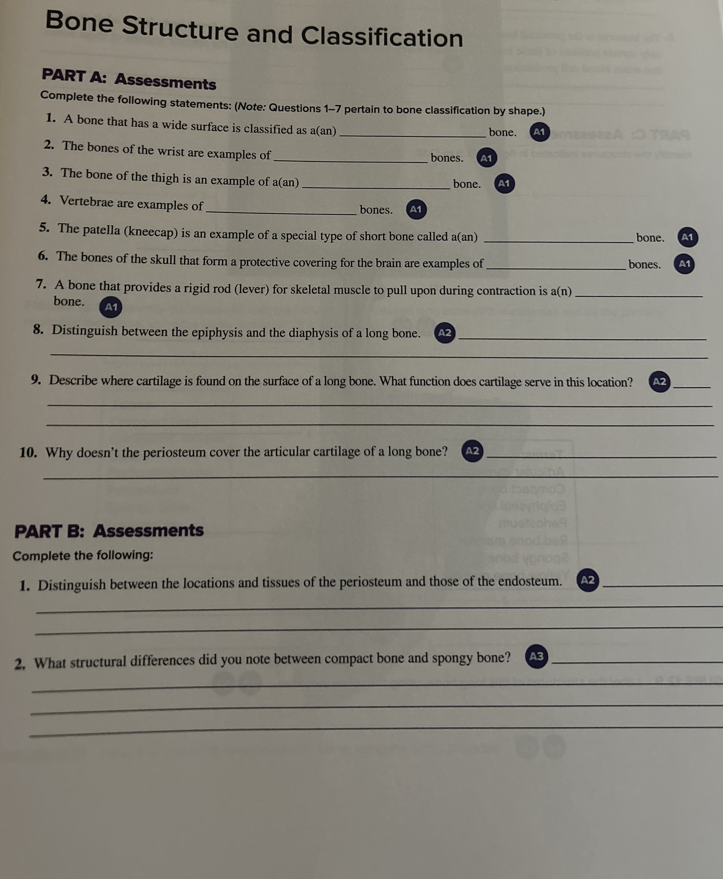 Solved Bone Structure and ClassificationPART A: | Chegg.com