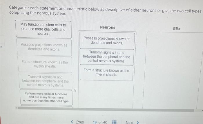 Solved Categorize each statement or characteristic below as | Chegg.com