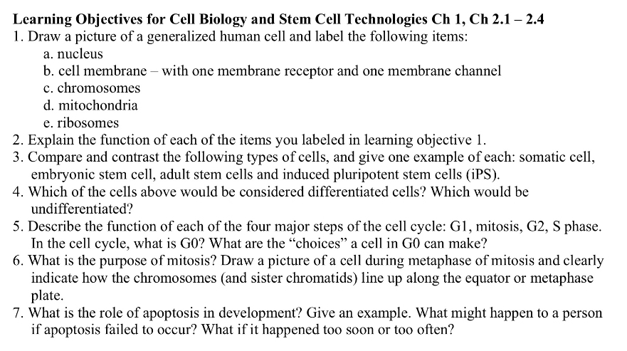 Solved Learning Objectives for Cell Biology and Stem Cell | Chegg.com