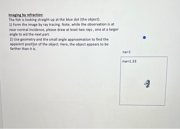 Solved Imaging by refraction The fish is looking straight up | Chegg.com