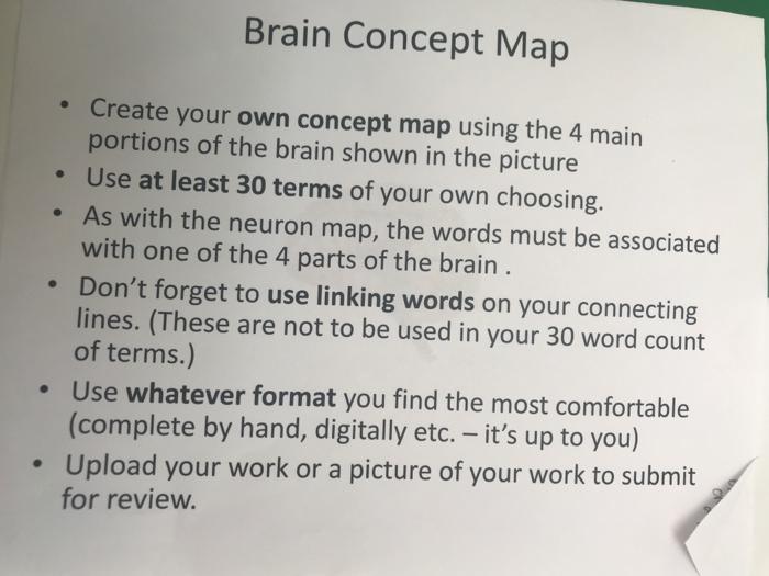 Solved Brain Concept Map Create your own concept map using | Chegg.com