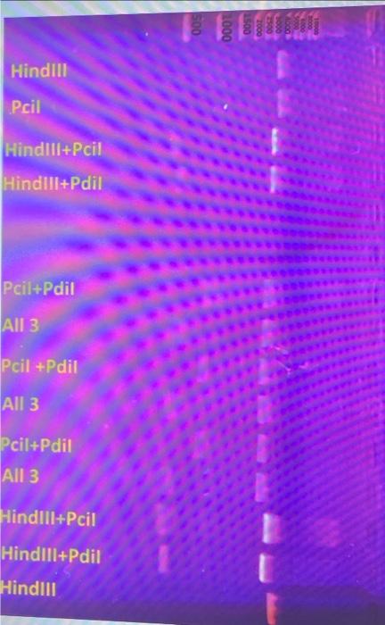 Solved 500 00071 Hindill Pcil Hindili+Pcil Hind\/I+Pdil | Chegg.com