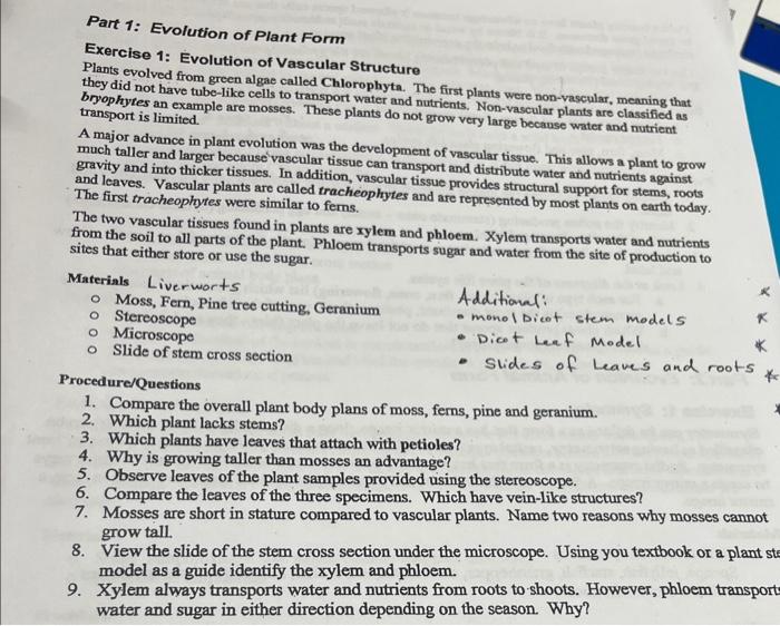 Solved Part 1: Evolution of Plant Form Exercise 1: Evolution | Chegg.com