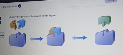 Solved 4 ﻿Practice Qulz(1.Identify the process illustrated | Chegg.com