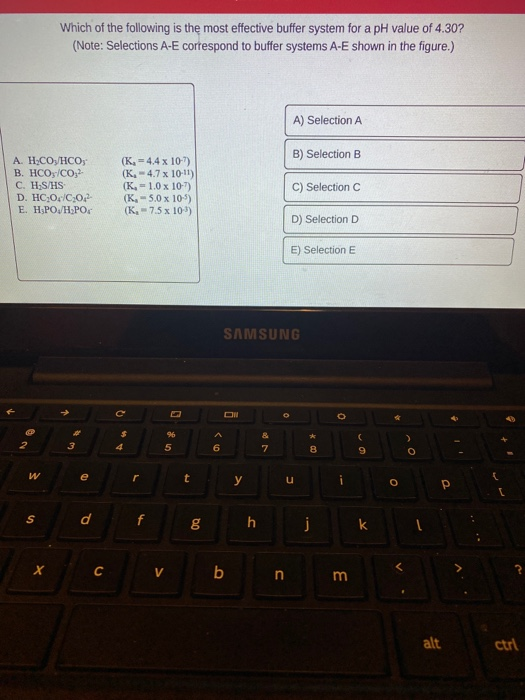 Solved Which of the following is the most effective buffer | Chegg.com