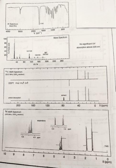 Solved based on the info provided, draw the molecule. | Chegg.com