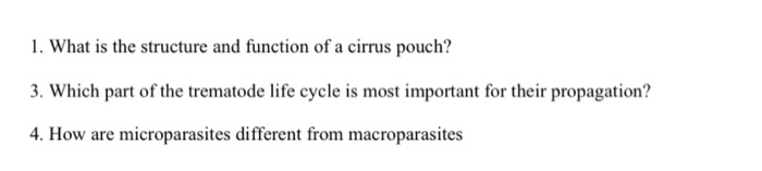 Solved 1. What is the structure and function of a cirrus | Chegg.com