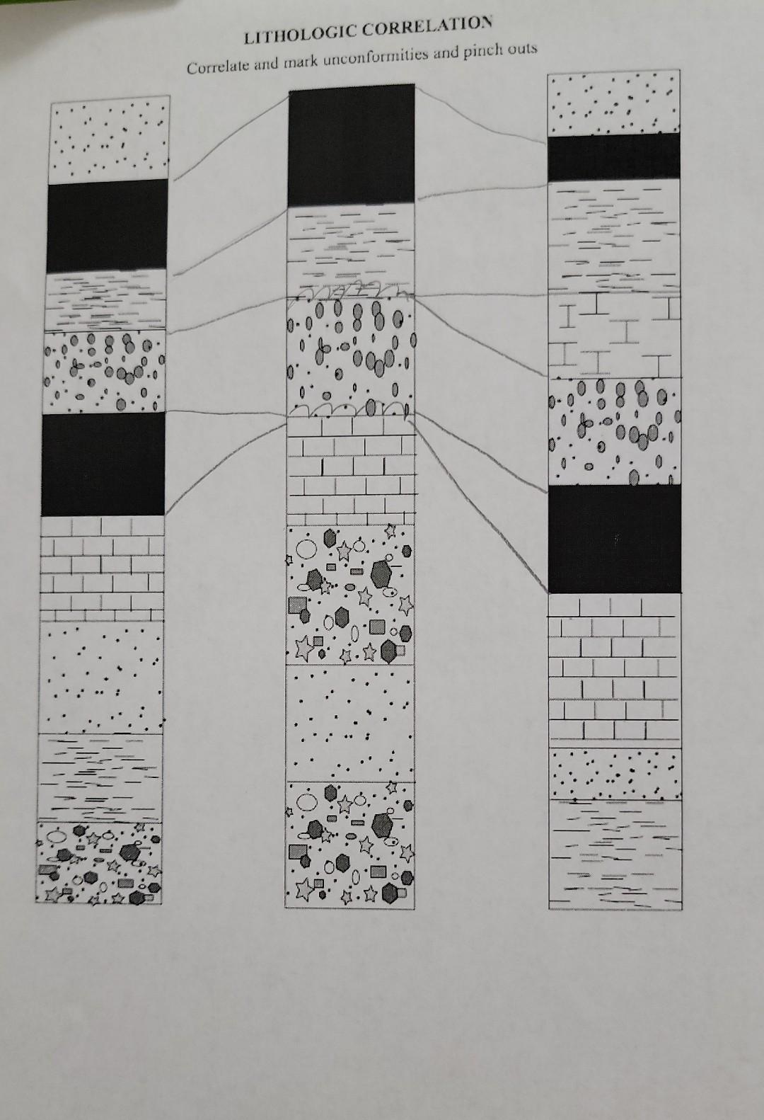 Solved BIOSTRATIGRAPHIC CORRELATION Correlate and mark | Chegg.com