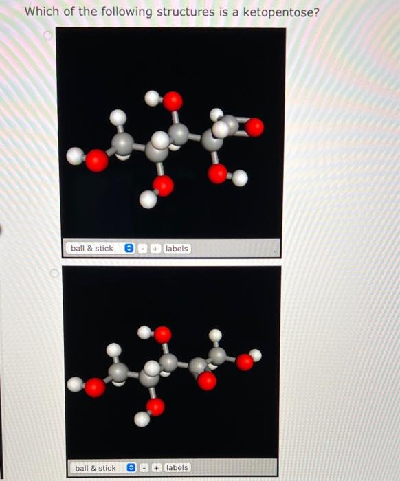 Solved Which of the following structures is a ketopentose? | Chegg.com