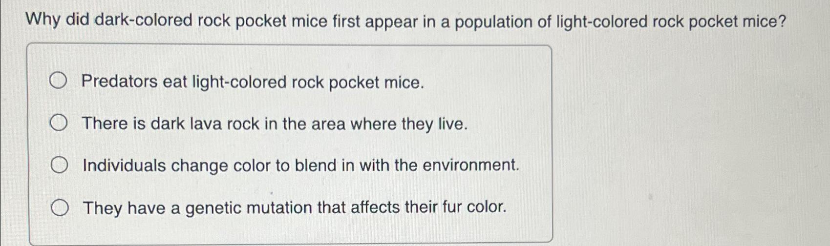 Solved Why did dark-colored rock pocket mice first appear in | Chegg.com