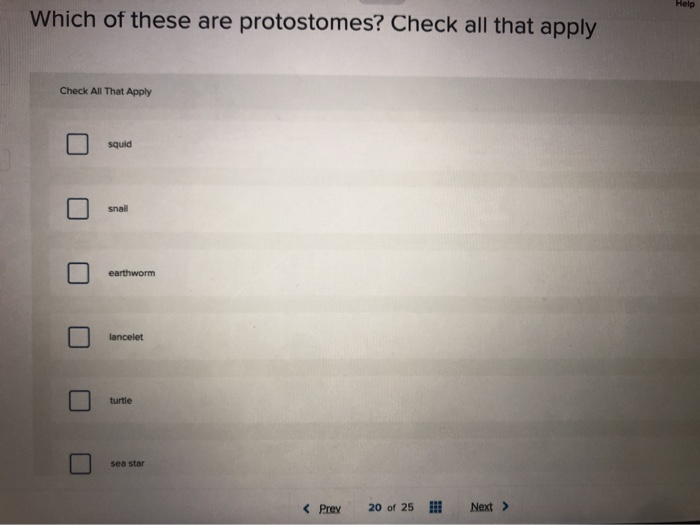 Solved Help Which of these are protostomes? Check all that | Chegg.com
