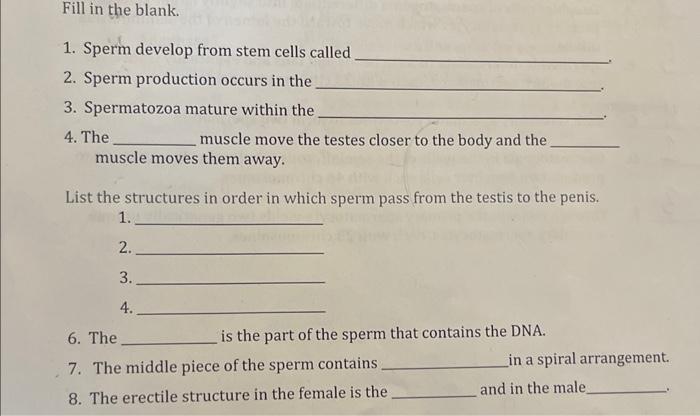 Solved 1. Sperm develop from stem cells called 2. Sperm | Chegg.com