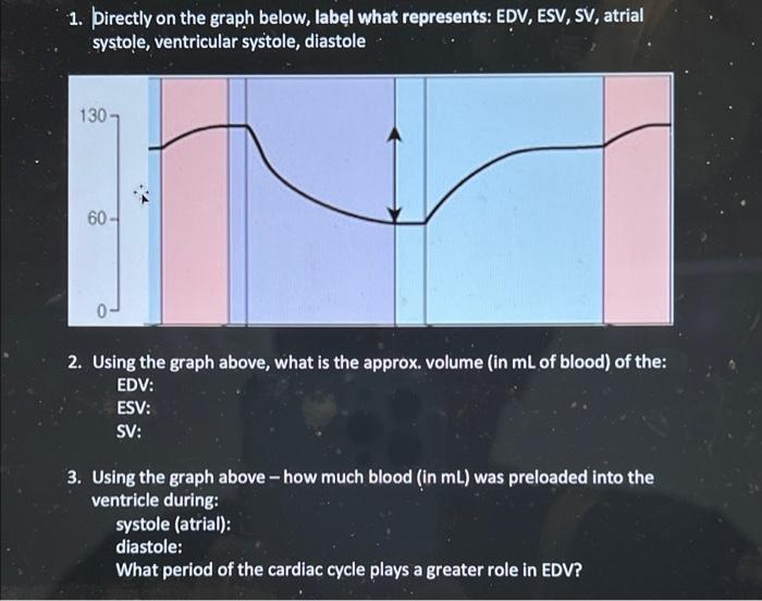 Solved 1. Directly on the graph below, label what | Chegg.com