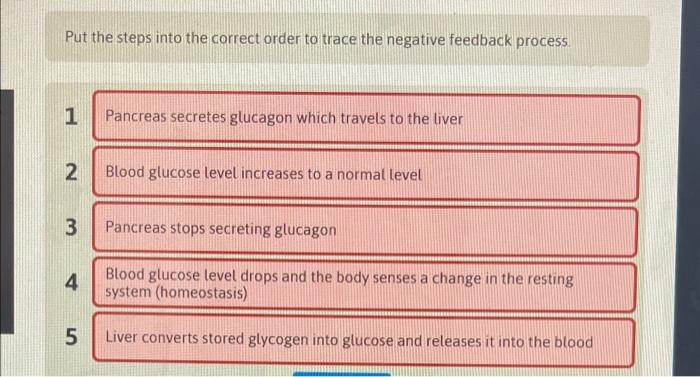 Solved Put the steps into the correct order to trace the | Chegg.com