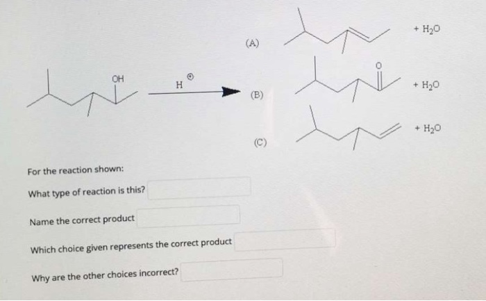 Solved + H2O H2O + H20 For the reaction shown: What type of | Chegg.com