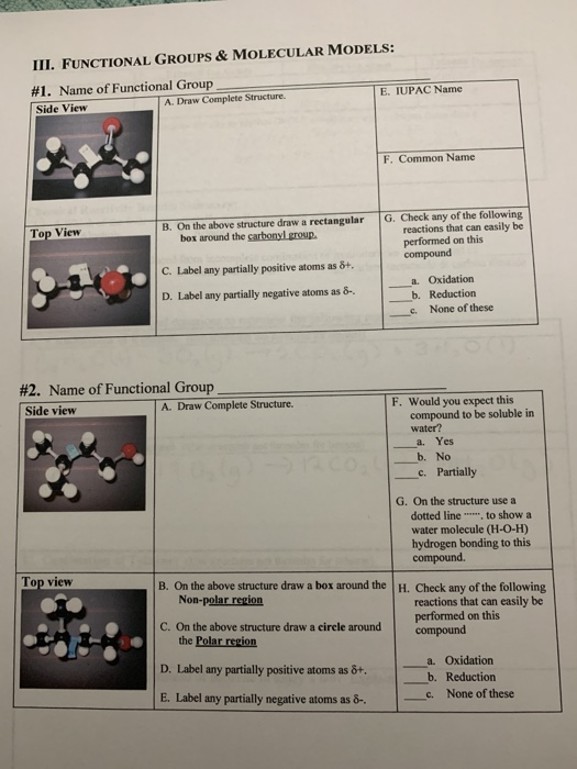 Solved III. FUNCTIONAL GROUPS & MOLECULAR MODELS: #1. Name | Chegg.com
