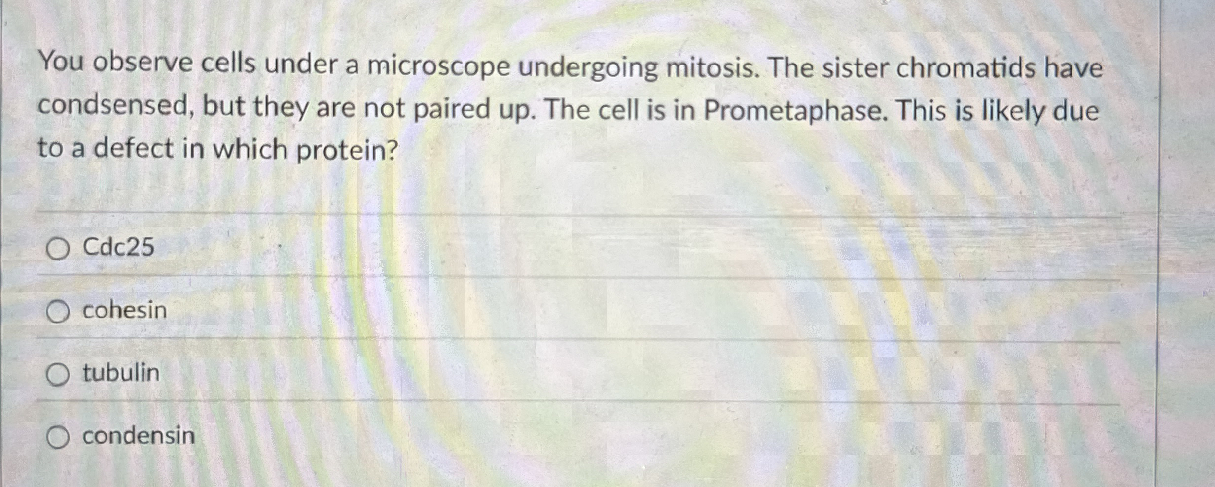 Solved You observe cells under a microscope undergoing | Chegg.com