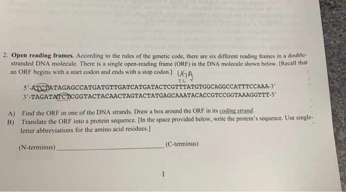 Solved 2. Open reading frames. According to the rules of the | Chegg.com