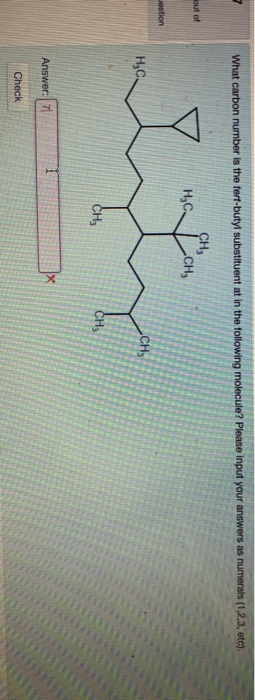 Solved What carbon number is the fort-butyl substituent at | Chegg.com