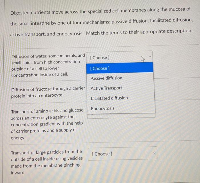 Solved Digested nutrients move across the specialized cell | Chegg.com