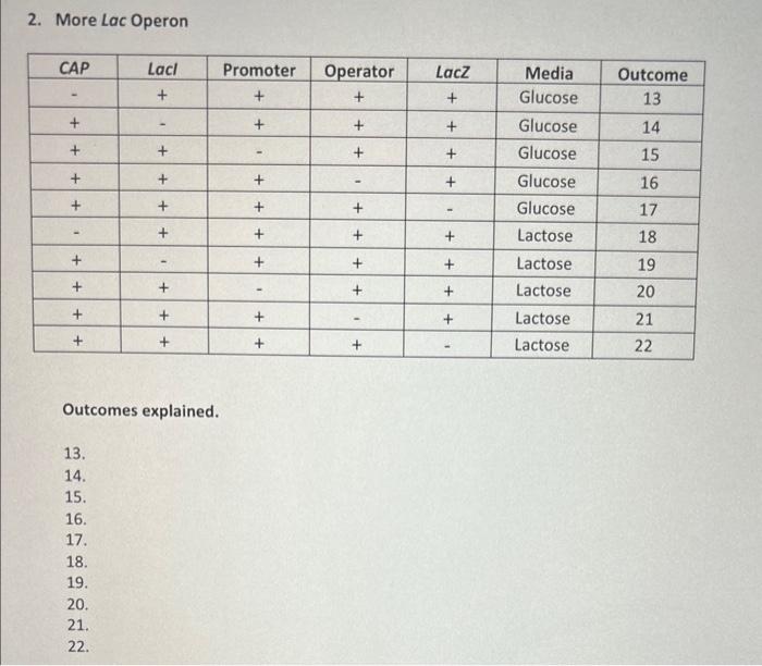 Solved Lac Operon Below is a schematic of the Lac Operon. It | Chegg.com