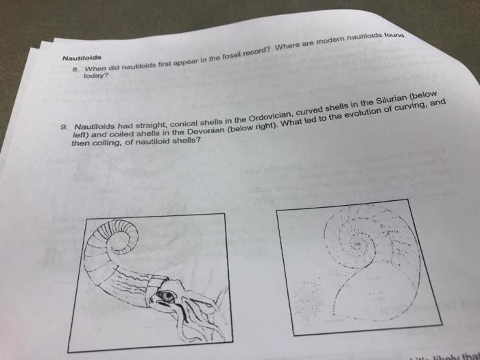 Solved Nautiloids 8. When did nautifolds first appear in the | Chegg.com