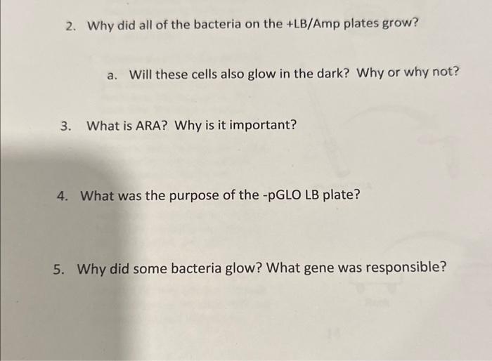 Solved 2. Why did all of the bacteria on the +LB/Amp plates | Chegg.com