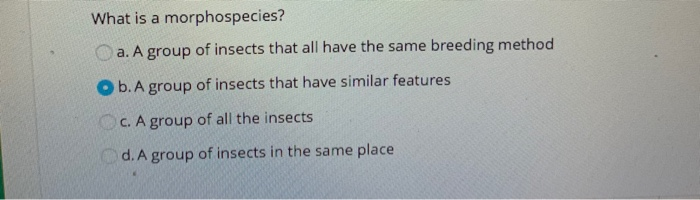 Solved What is a morphospecies? a. A group of insects that | Chegg.com