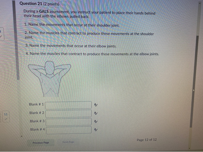 Solved Question 21 (2 points) During a GALS assessment, you | Chegg.com
