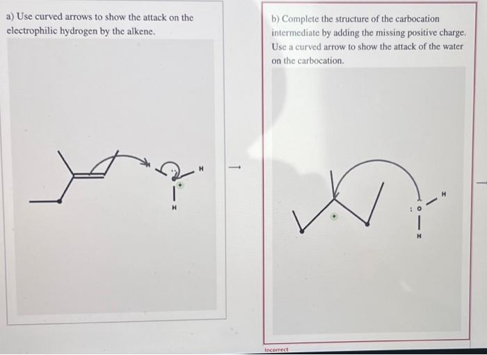 Solved b)complete the structure of the carbocation | Chegg.com