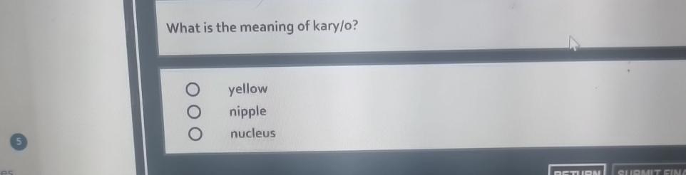 Solved What is the meaning of kary/o?yellownipplenucleus | Chegg.com