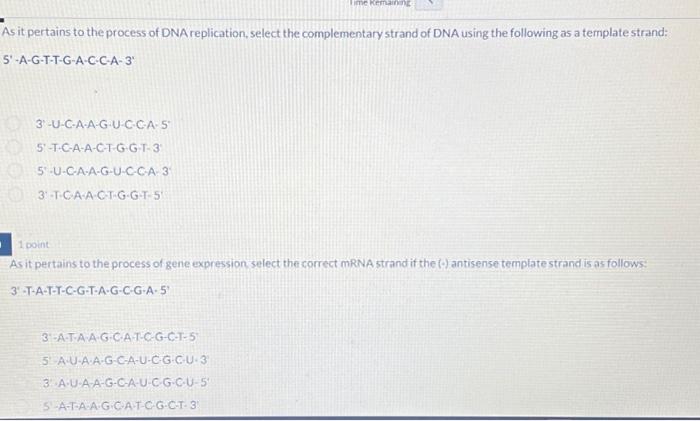 Solved As it pertains to the process of DNA replication, | Chegg.com