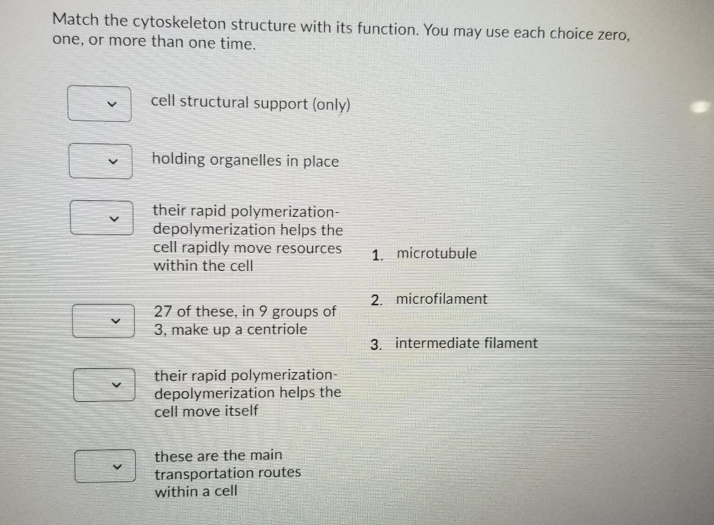 Solved Match the cytoskeleton structure with its function. | Chegg.com