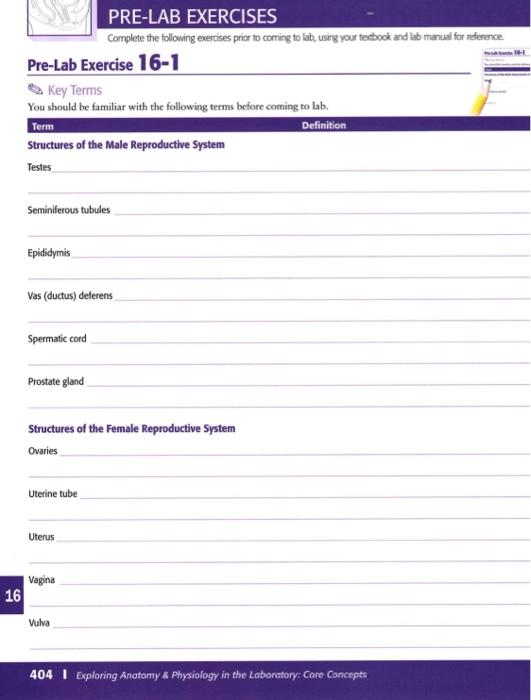 Solved PRE-LAB EXERCISES Complete the following exercises | Chegg.com