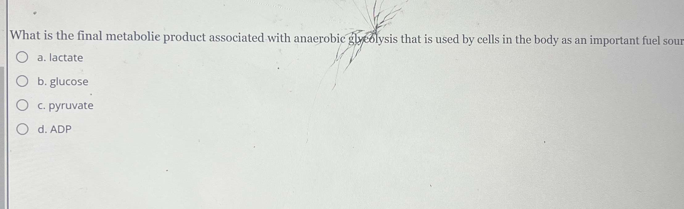 Solved What is the final metabolie product associated with | Chegg.com