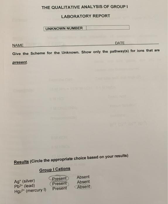 Solved THE QUALITATIVE ANALYSIS OF GROUP LABORATORY REPORT | Chegg.com