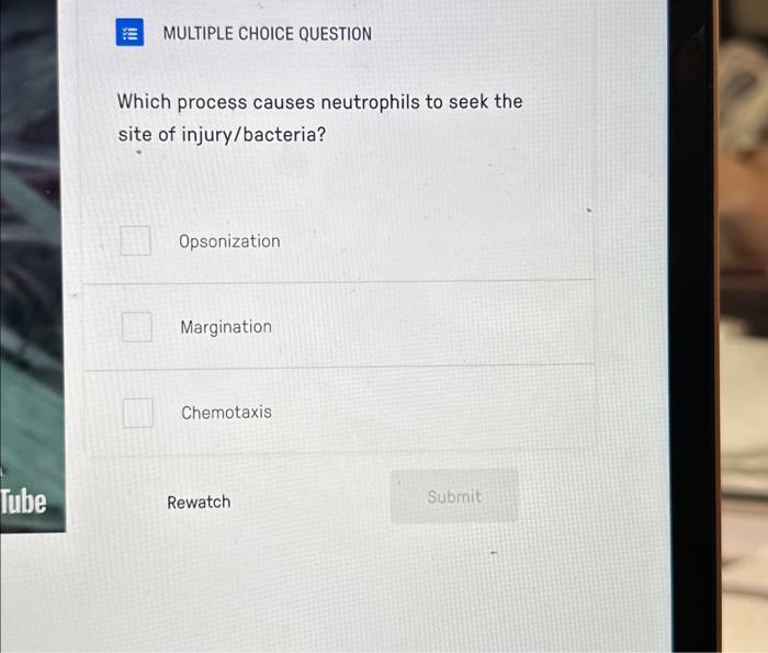 Solved MULTIPLE CHOICE QUESTION Which process causes | Chegg.com