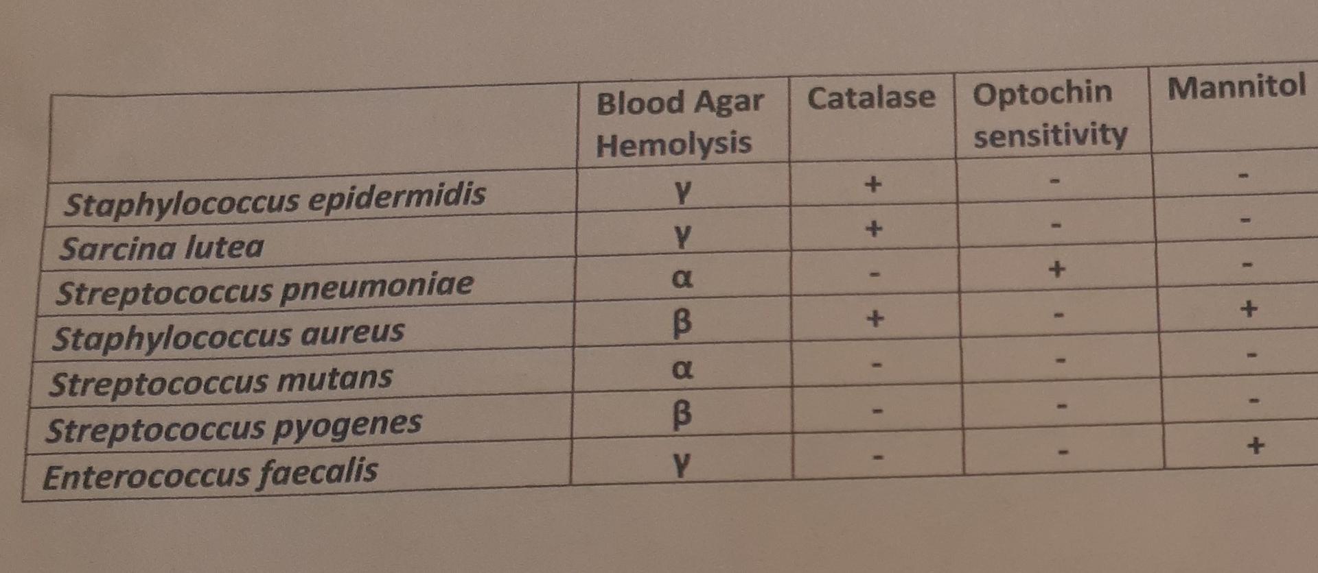 Solved Dichotomous Key: Gram Positive bacteria Using the | Chegg.com