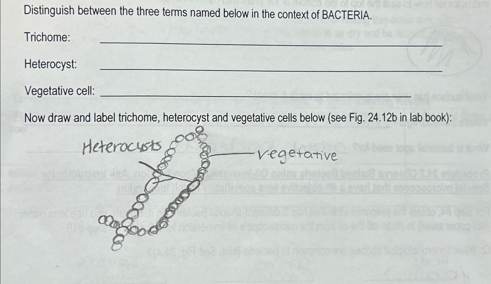 Solved Distinguish between the three terms named below in | Chegg.com