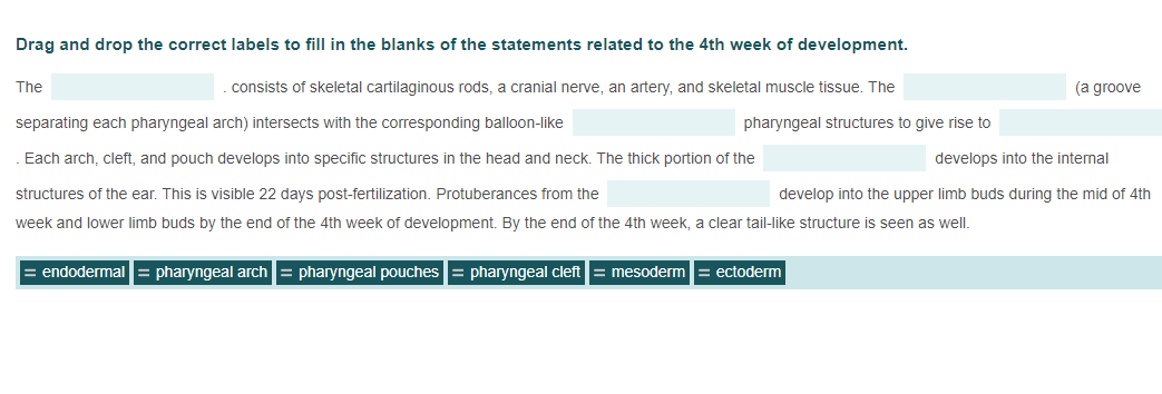 Solved Drag and drop the correct labels to fill in the | Chegg.com