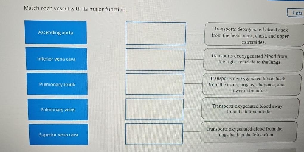 Solved Match each vessel with its major | Chegg.com