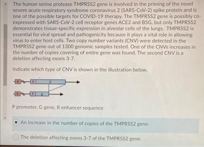 Solved The human serine protease TMPRSS2 gene is involved in | Chegg.com