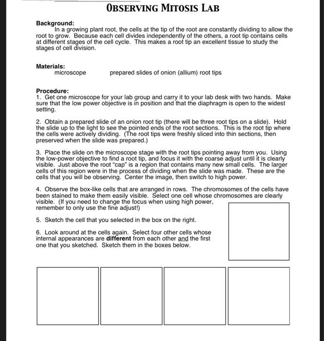 Solved OBSERVING MITOSIS LAB Background: In a growing plant | Chegg.com