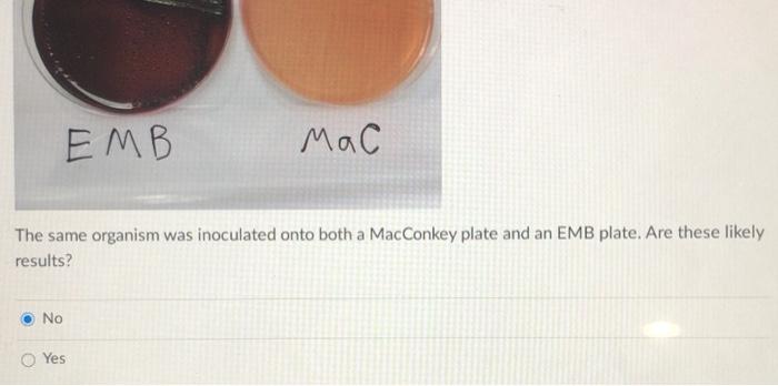 Solved EMB Mac The same organism was inoculated onto both a | Chegg.com
