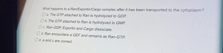 Solved What happens to a Ran/Exportin/Cargo complex after it | Chegg.com