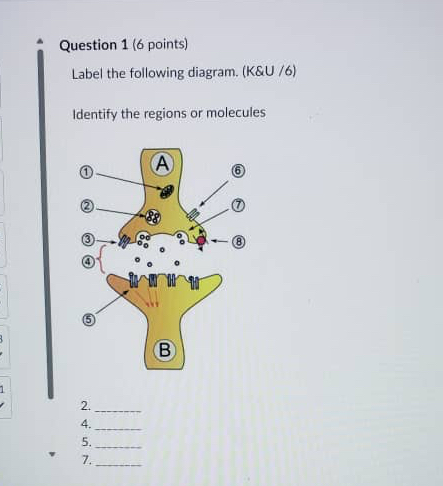 Solved Question 1 (6 ﻿points)Label the following diagram. | Chegg.com
